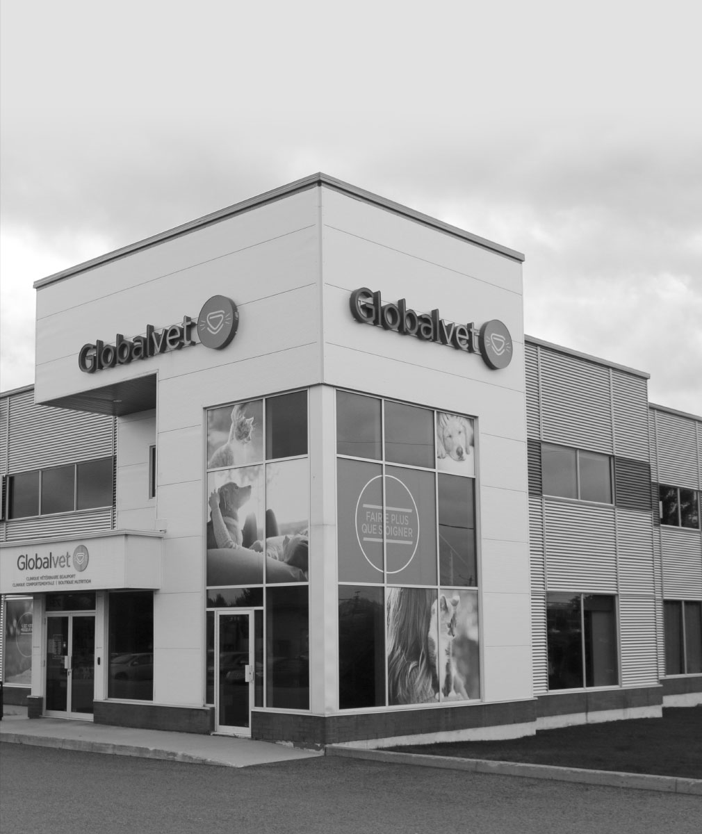 Clinique vétérinaire Beauport - Globalvet